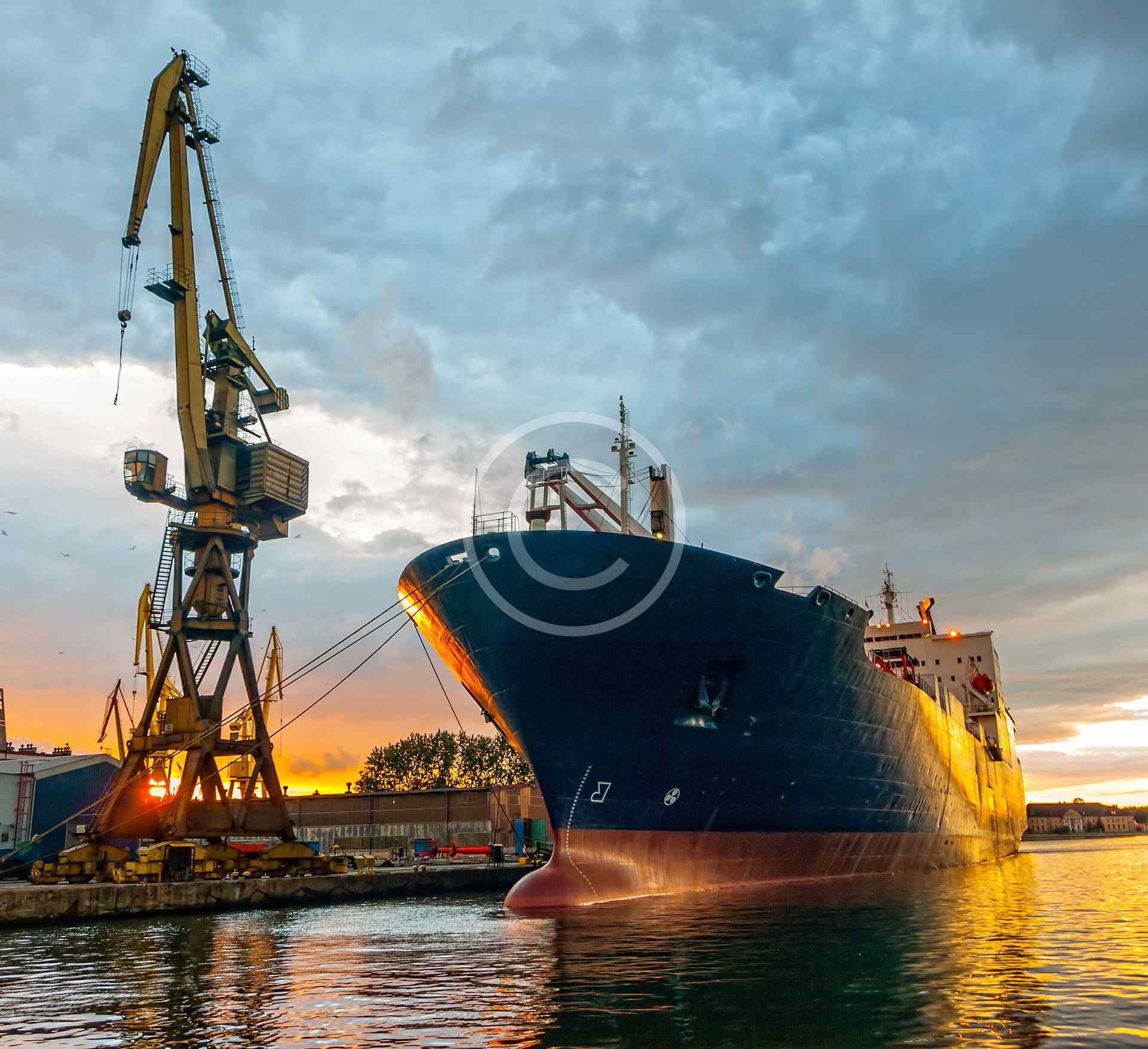 Top gorgeous cargo ships in the history of logistics – CGL.COM.SG